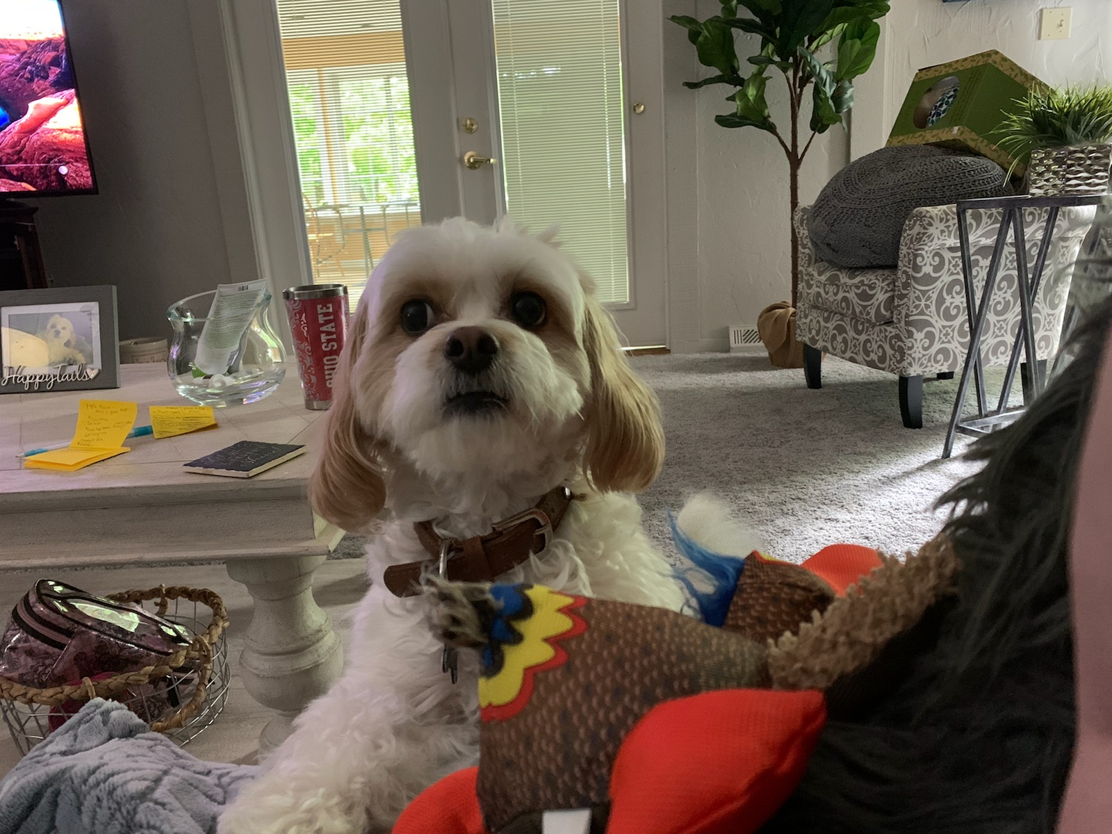 Writing Progress Report June 2020 - Gary David Gillen